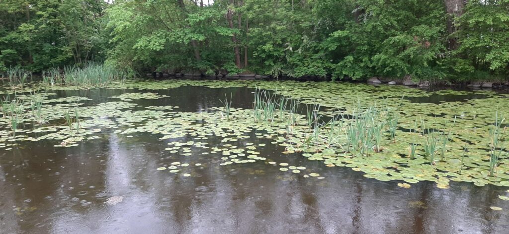 Klimamål i Roskilde: Scope 3 - Grønt Omstillingsforbund